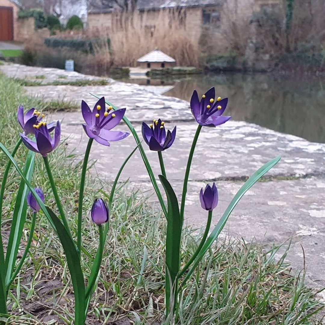 Handcrafted Crocus Flower. Handmade Metal Outdoor Flower Sculptures (2 ...