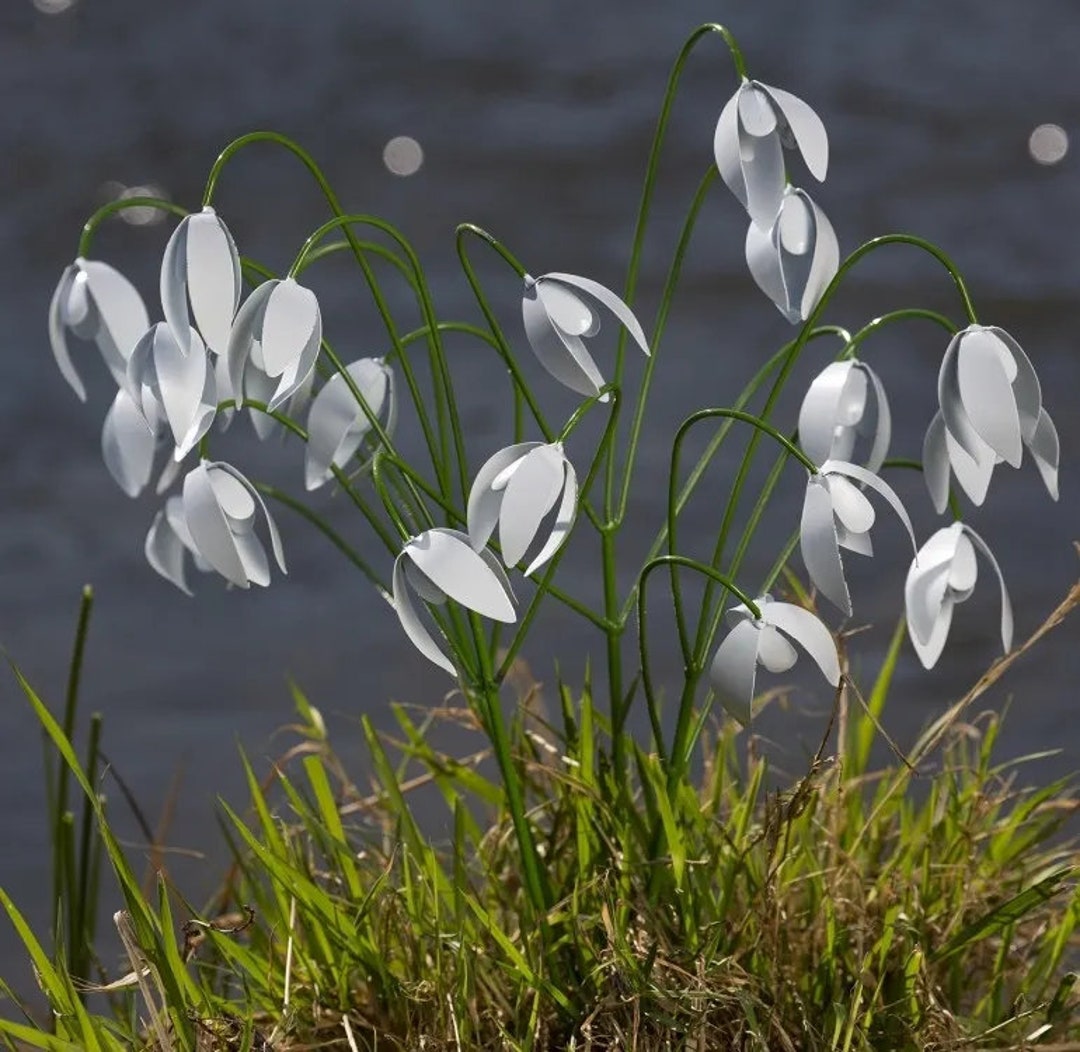 Handcrafted Flowers Snowdrop. Outdoor Handmade Metal Flower Sculpture ...