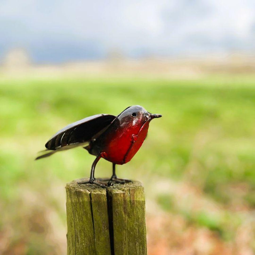 Recycled Metal Handcrafted Open Wing Robin, Outdoor Robin Sculpture ...