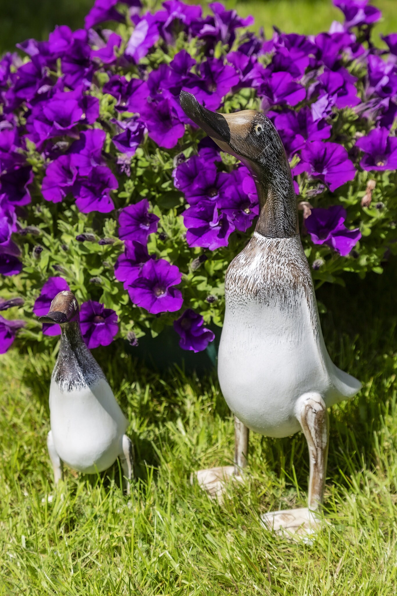 White Washed Duck - Etsy UK