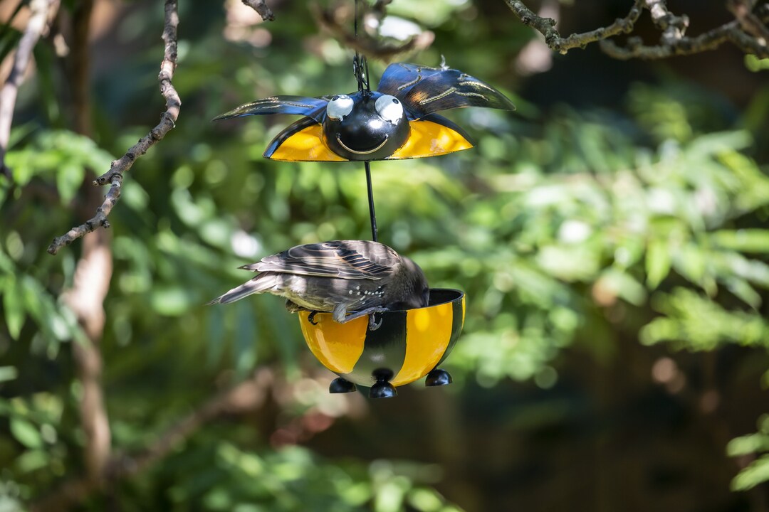 Bumble Bee Bird Feeder. Hanging Metal Bird Feeder. Outdoor Feeder. (2 ...