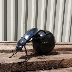 Hand Crafted Metal Dung Beetles. Outdoor Sculptures. Handmade Metal ...