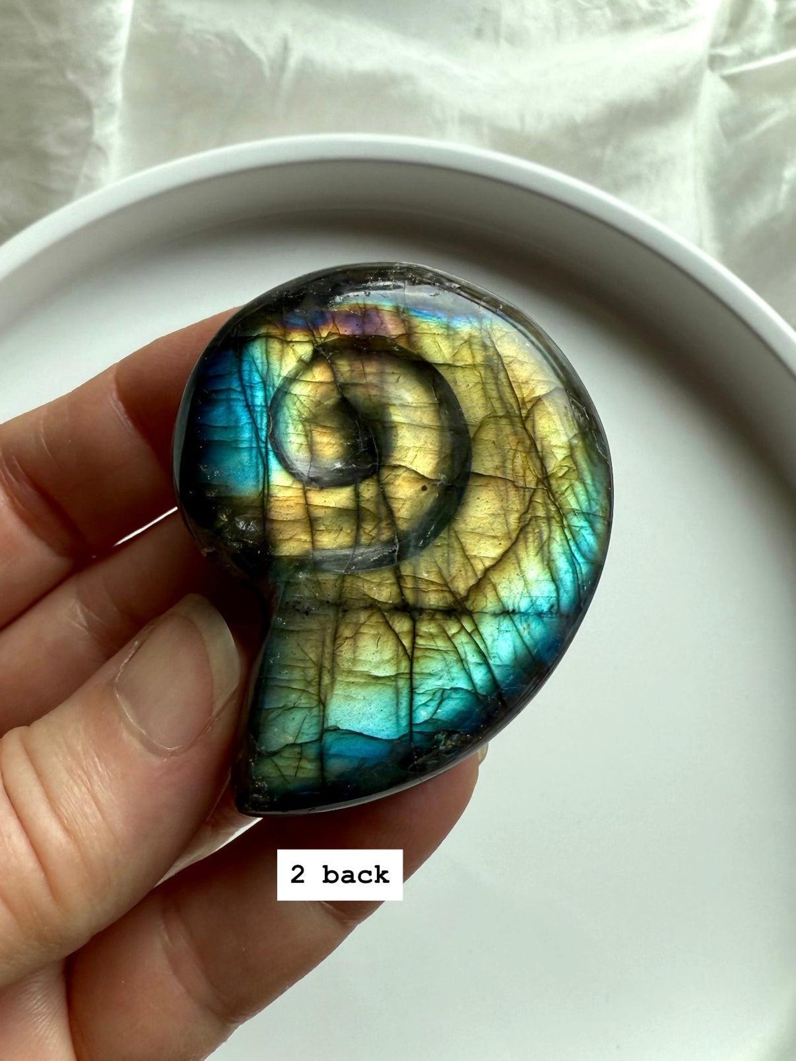 Flashy Labradorite Seashells, Spiral of Life, Crystal Conch Shell ...