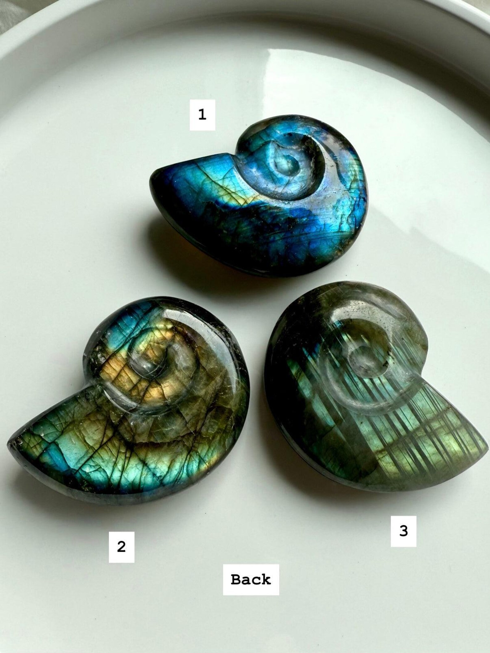 Flashy Labradorite Seashells, Spiral of Life, Crystal Conch Shell ...