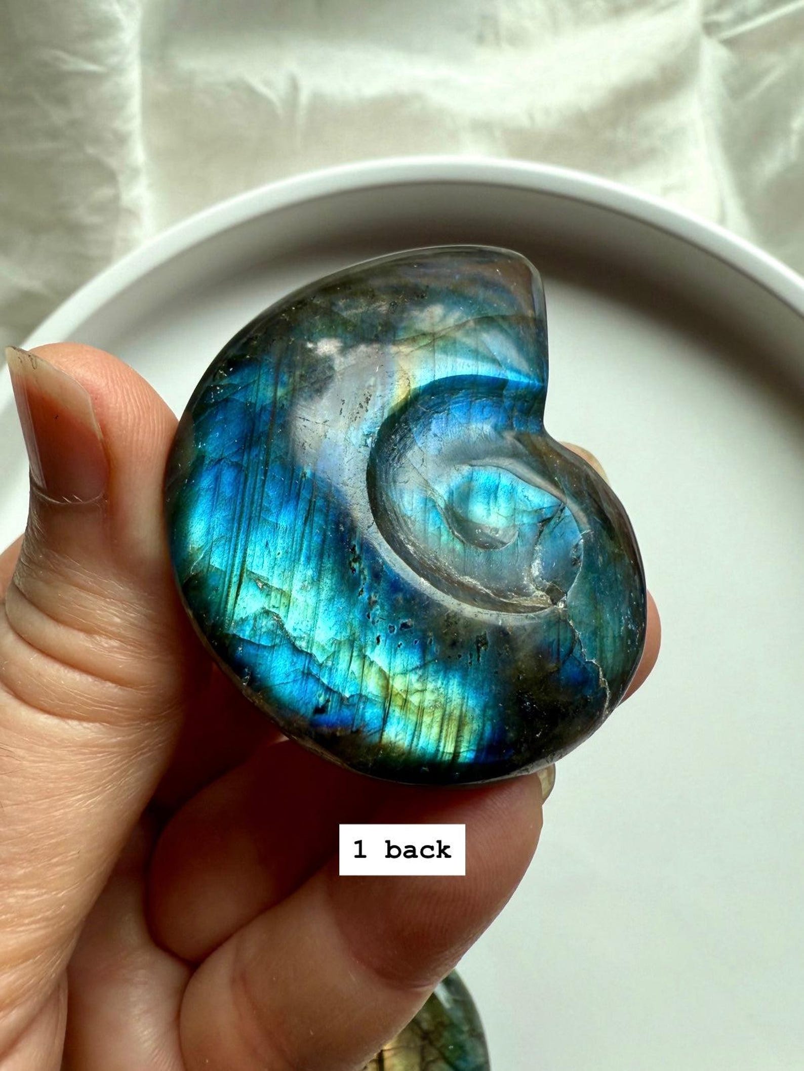 Flashy Labradorite Seashells, Spiral of Life, Crystal Conch Shell ...