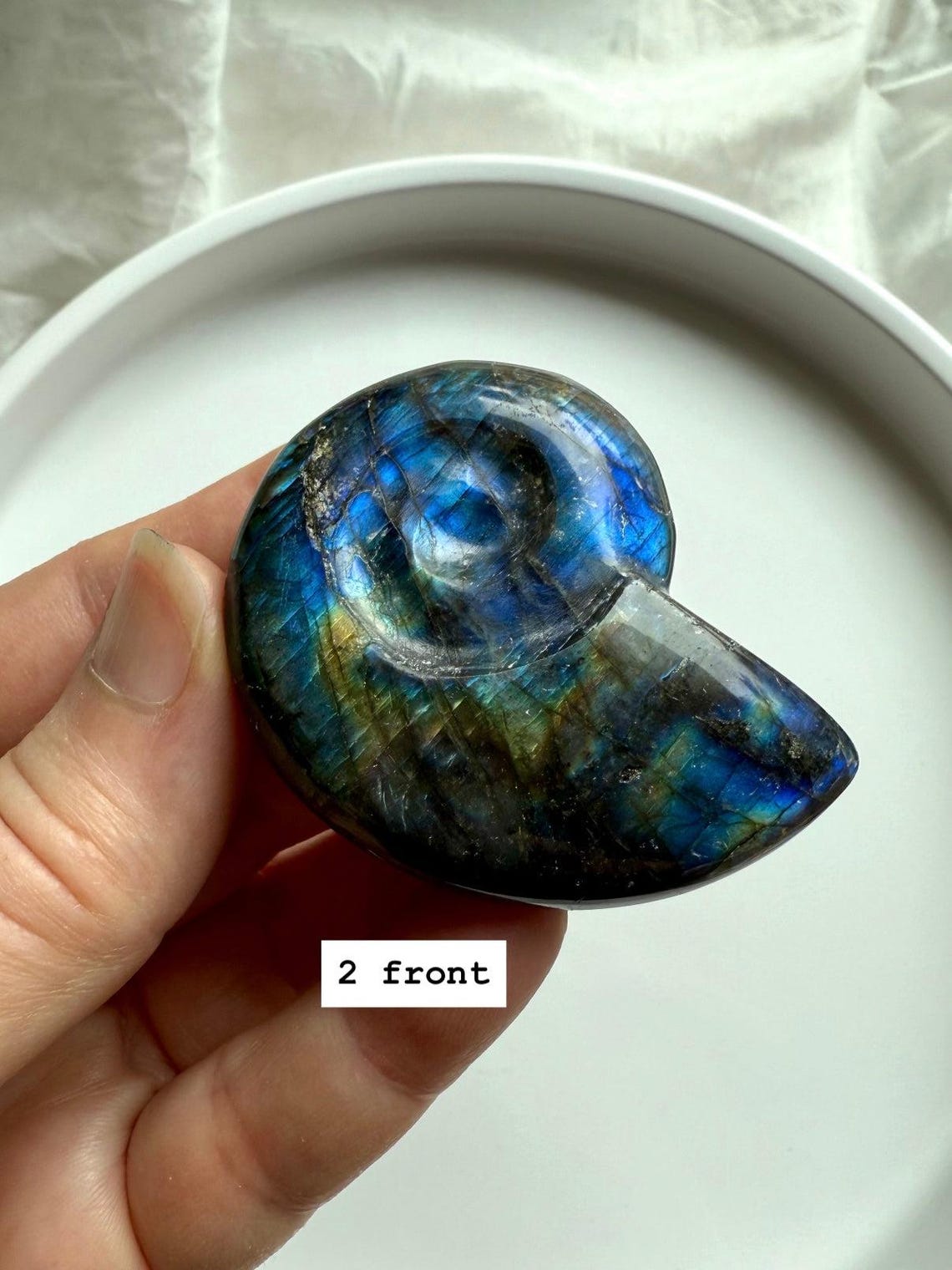 Flashy Labradorite Seashells, Spiral of Life, Crystal Conch Shell ...