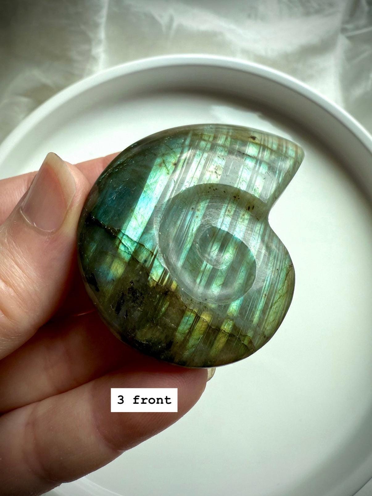 Flashy Labradorite Seashells, Spiral of Life, Crystal Conch Shell ...