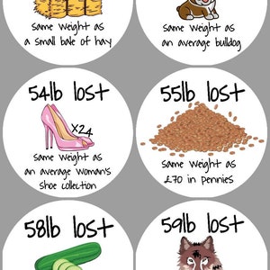Weight Loss Comparison Stickers Diet Friendly Visual Aid | Etsy UK