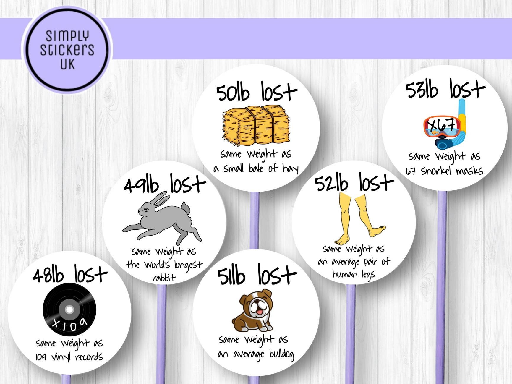 Weight Loss Comparison Stickers Diet Friendly Visual Aid - Etsy UK