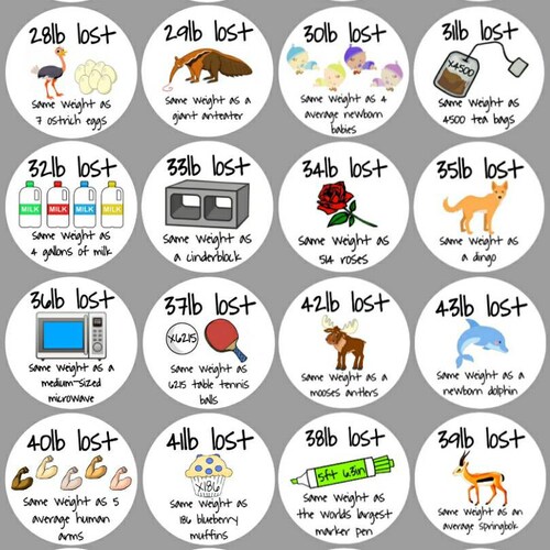 Weight Loss Comparison Stickers Diet Friendly Visual Aid | Etsy UK