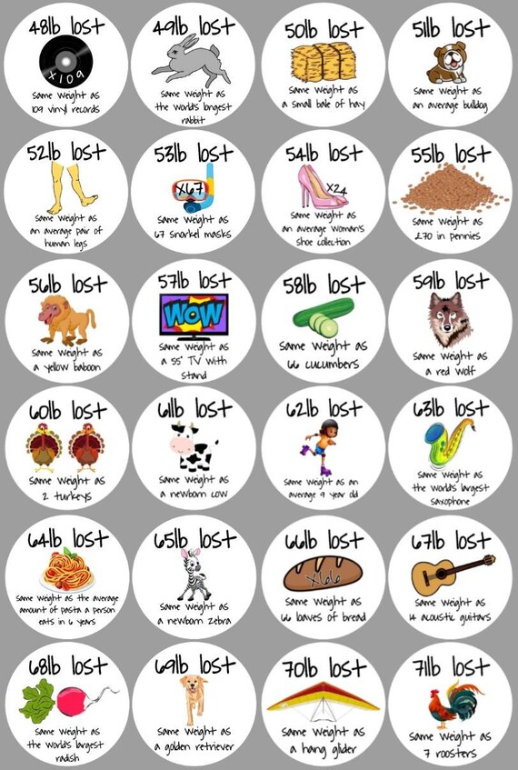 Weight Loss Comparison Stickers Diet Friendly Visual Aid | Etsy UK