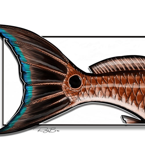 Tailing Redfish Sticker Redfish Tail Redfish Decal Red - Etsy