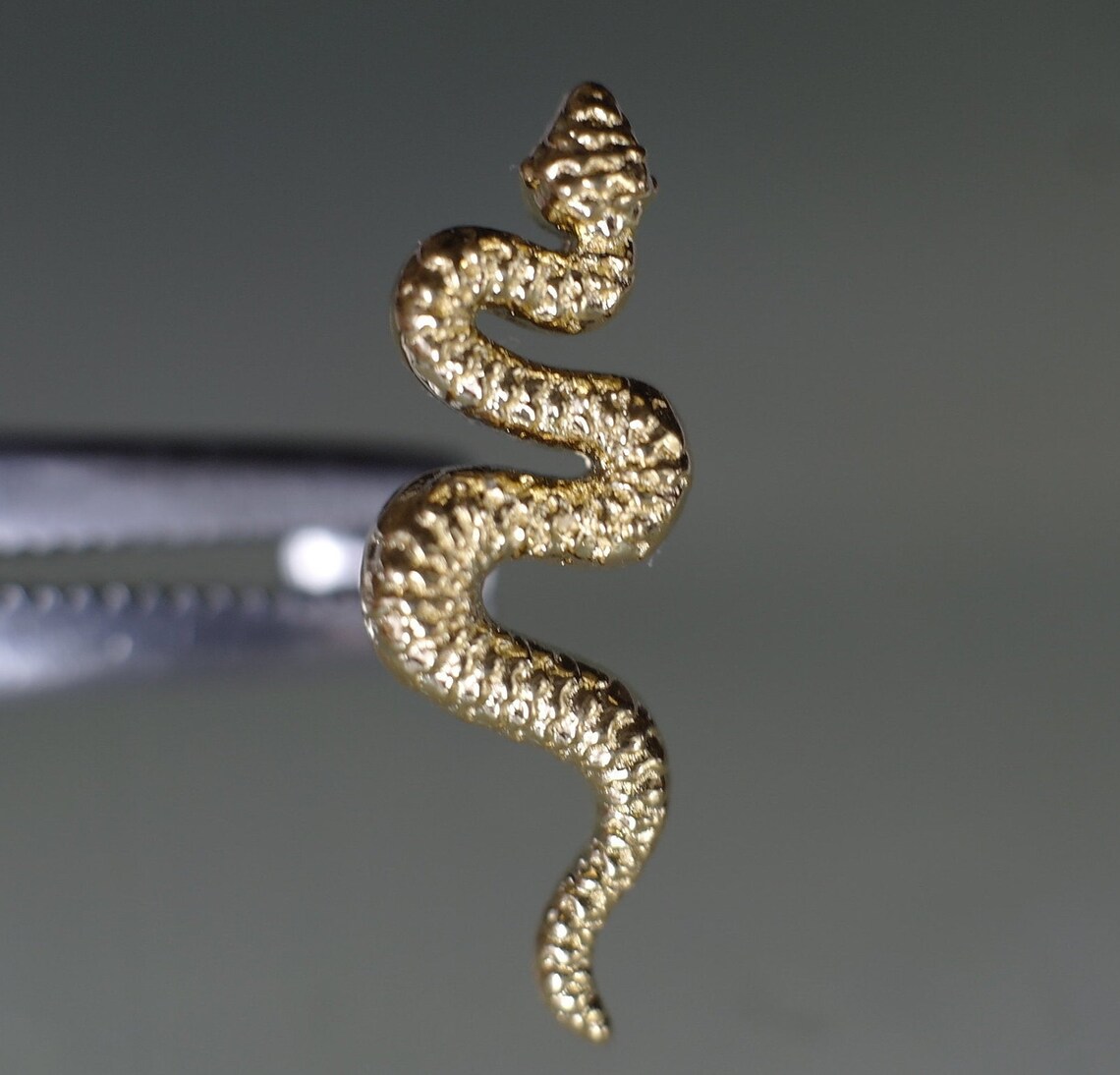 Titanium and Surgical Steel Snake Internally Threaded 1.2 Mm - Etsy ...