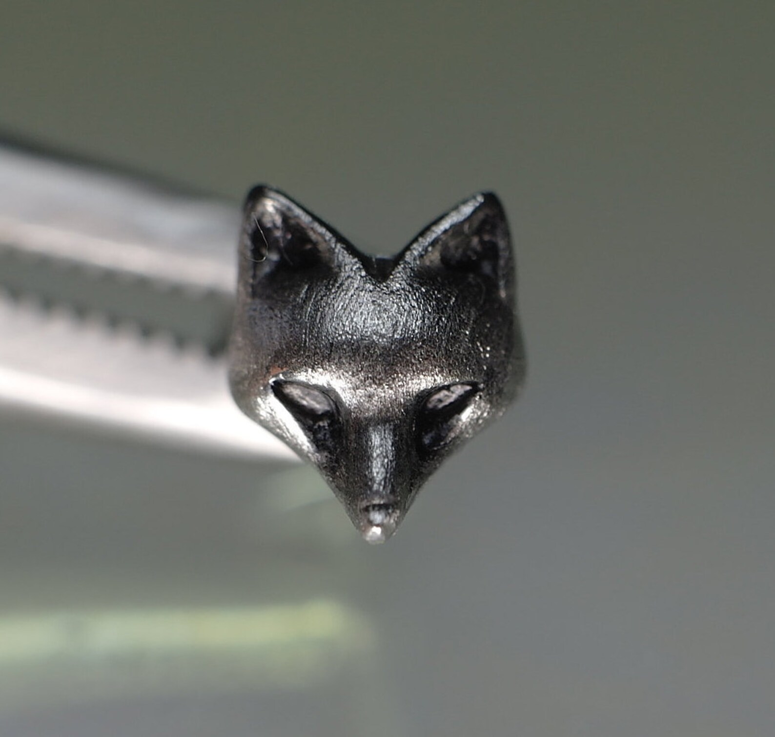 Titanium and Surgical Steel Fox Internally Threaded 1.2 Mm 16g | Etsy