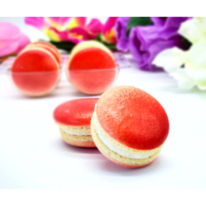 Tropical Macaron Set | Free Shipping. - Etsy