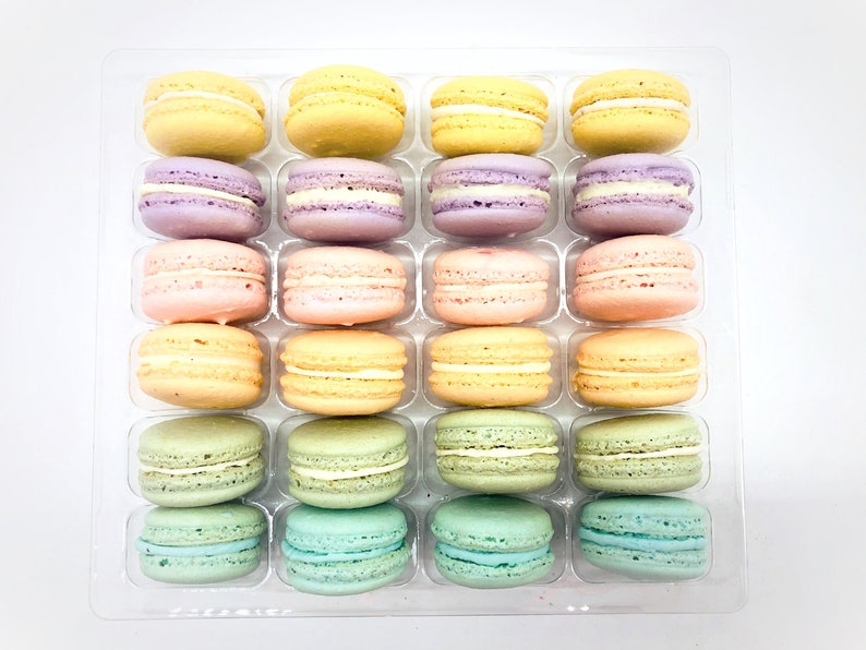 24 Pack Assorted Macaron the Pastel Set Great for Any - Etsy