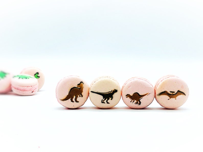 Dinosaur French Macaron Set: Jurassic Party Favors (12 Pack) - Etsy