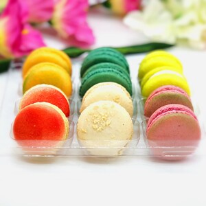 Tropical Macaron Set | Free Shipping. - Etsy