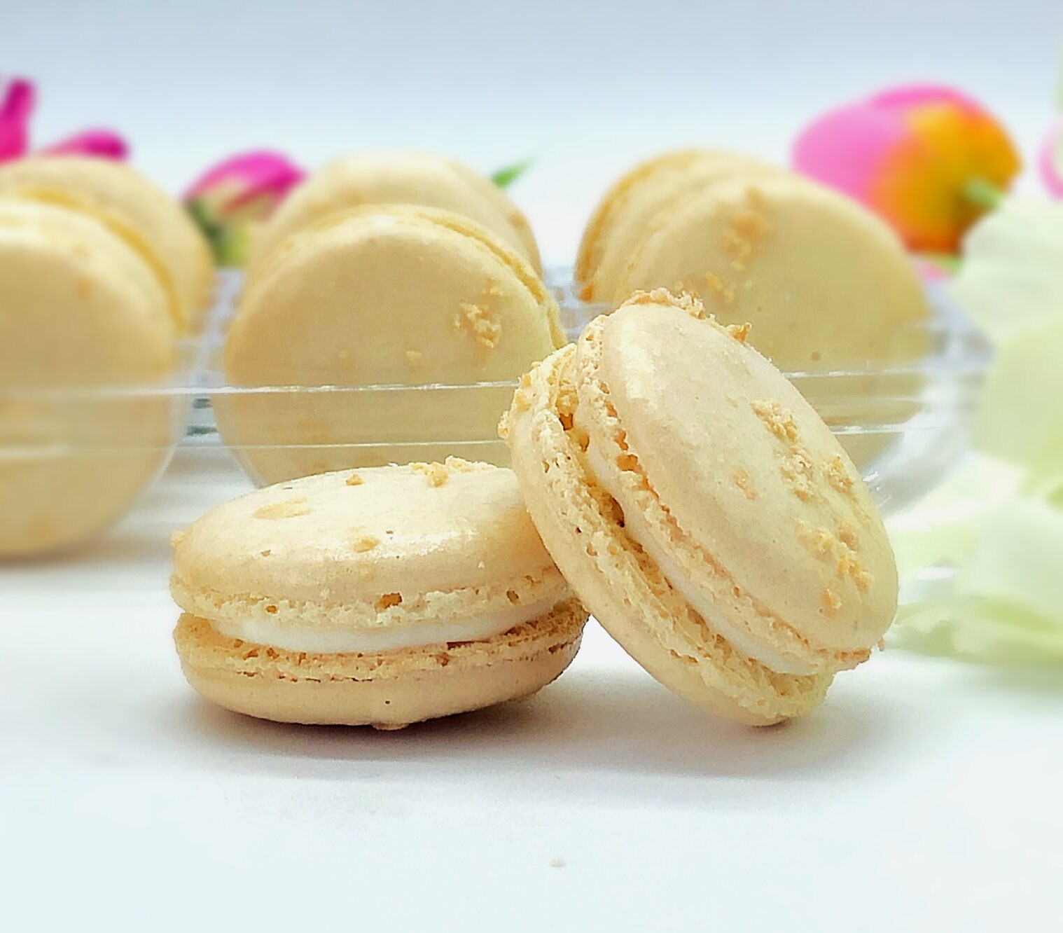 Tropical Macaron Set | Free Shipping. - Etsy