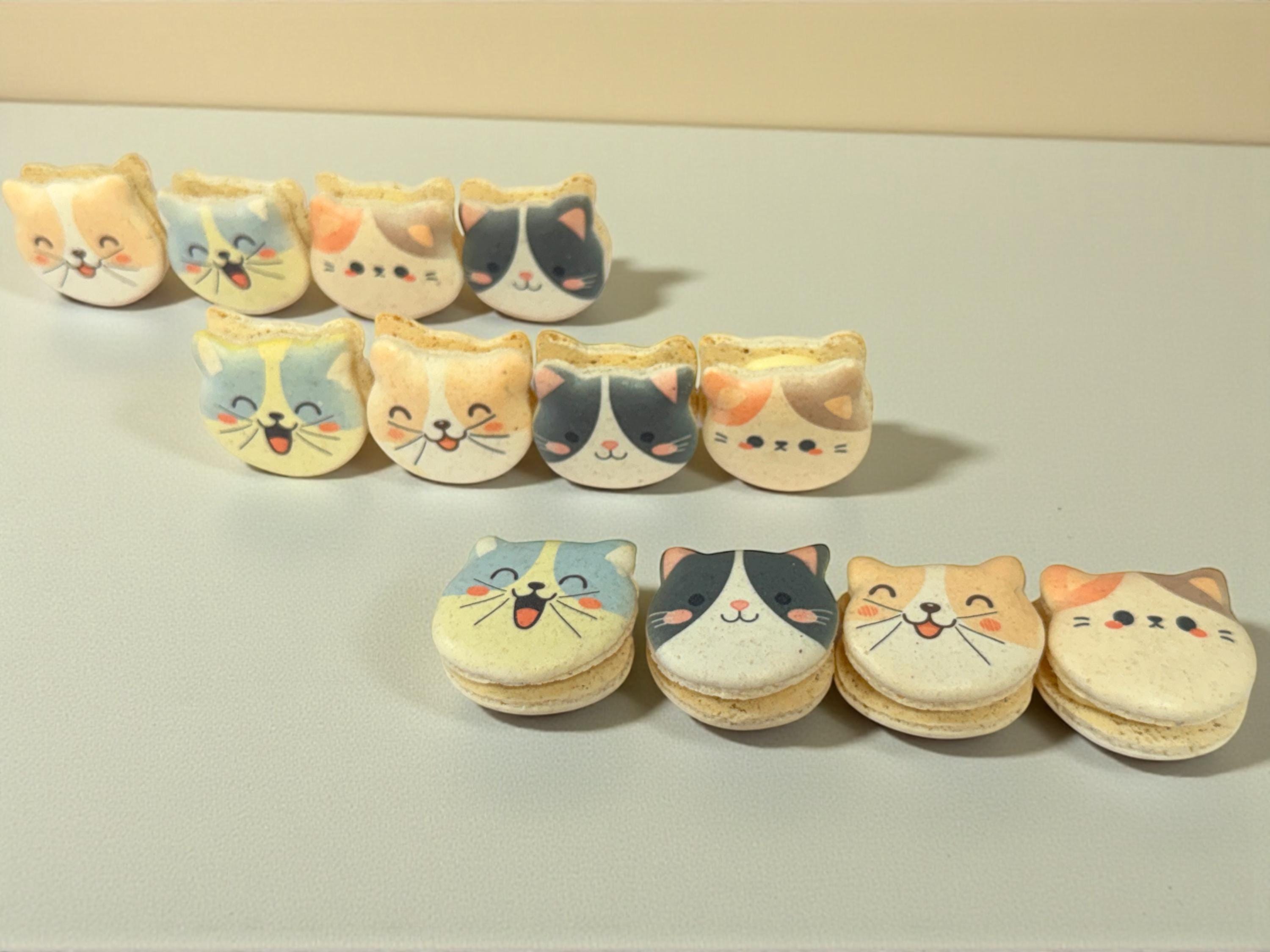 Purrfect Friends | Cat-shaped French Macarons - Etsy