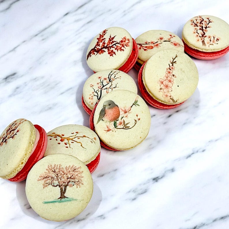 Sakura Bloom Vegan French Macaron Set - Etsy