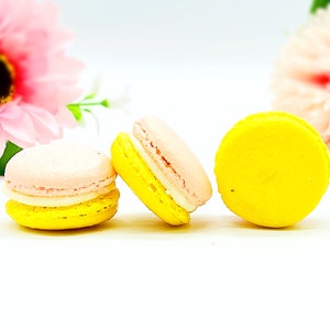 Gummi Bear Macarons| Perfect for Your Next Holiday Feast. - Etsy