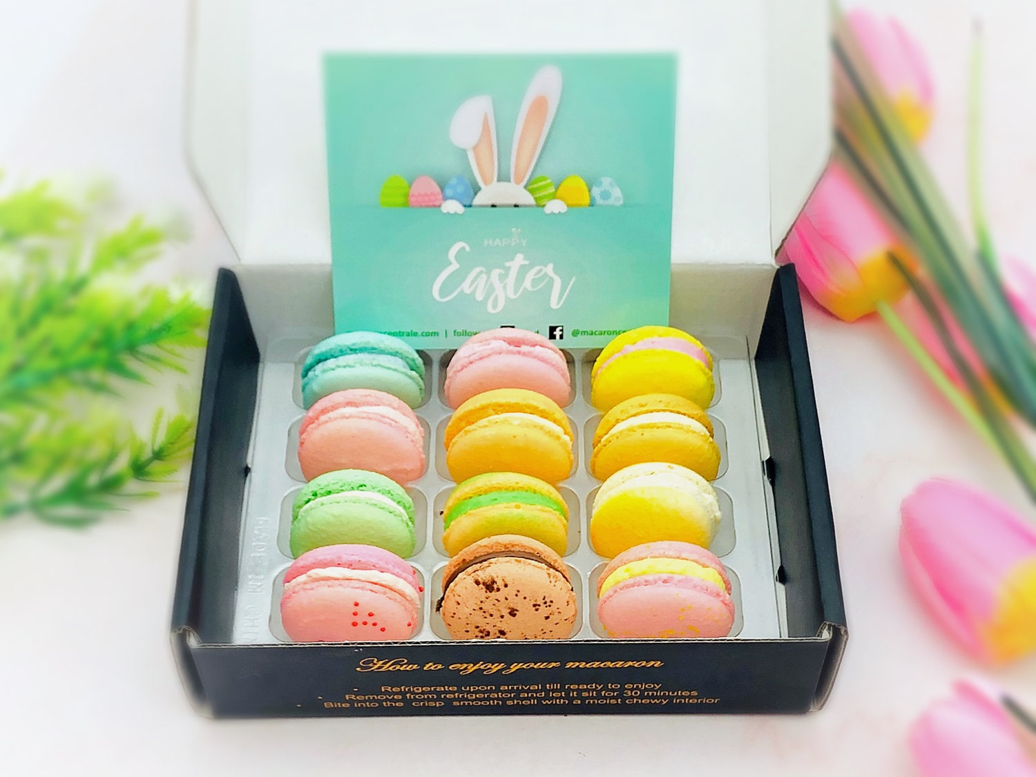 French Macaron Pastel Color Set | 12 Pack, 12 Different Pastel Shade of ...