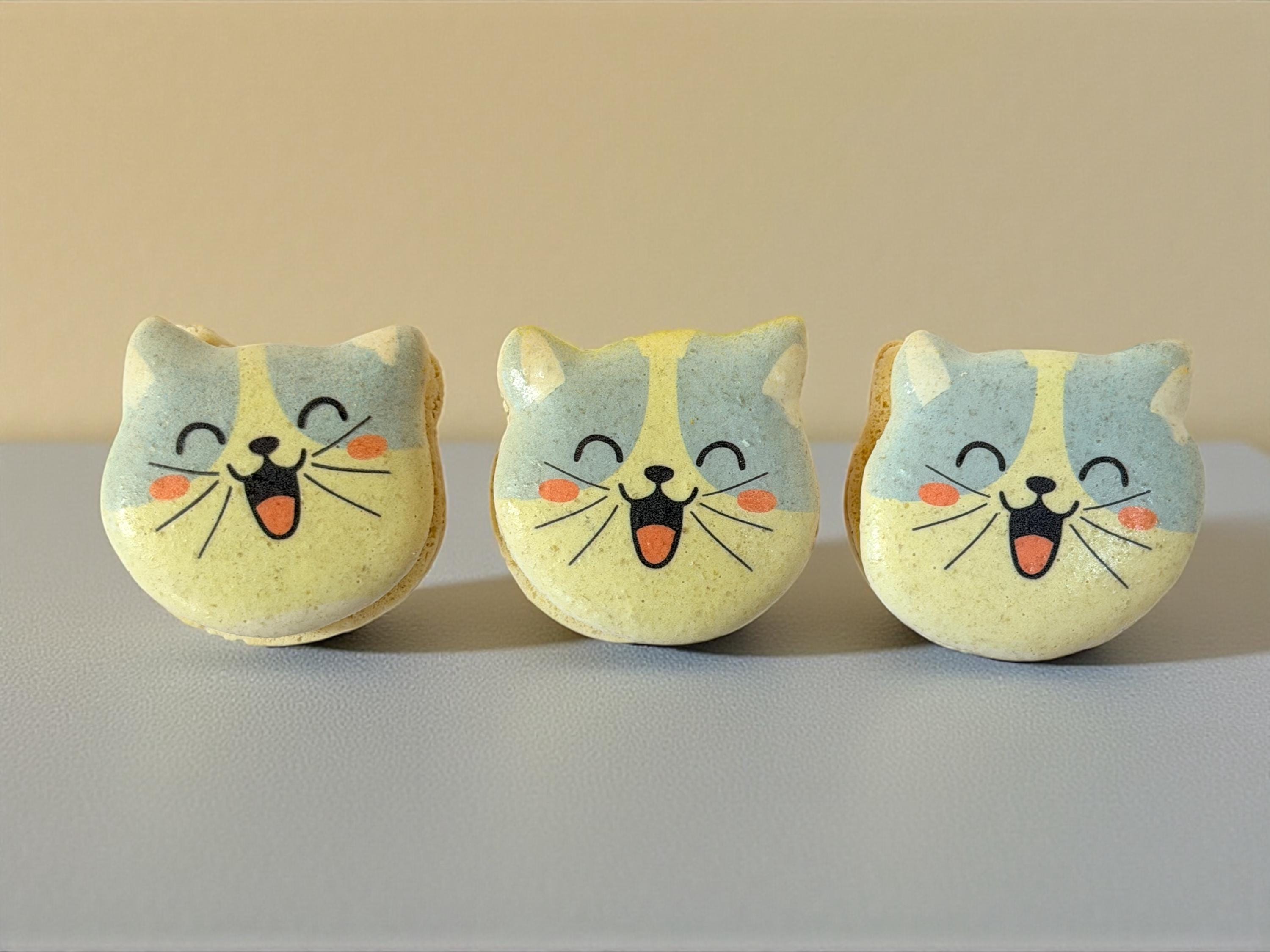 Purrfect Friends | Cat-shaped French Macarons - Etsy