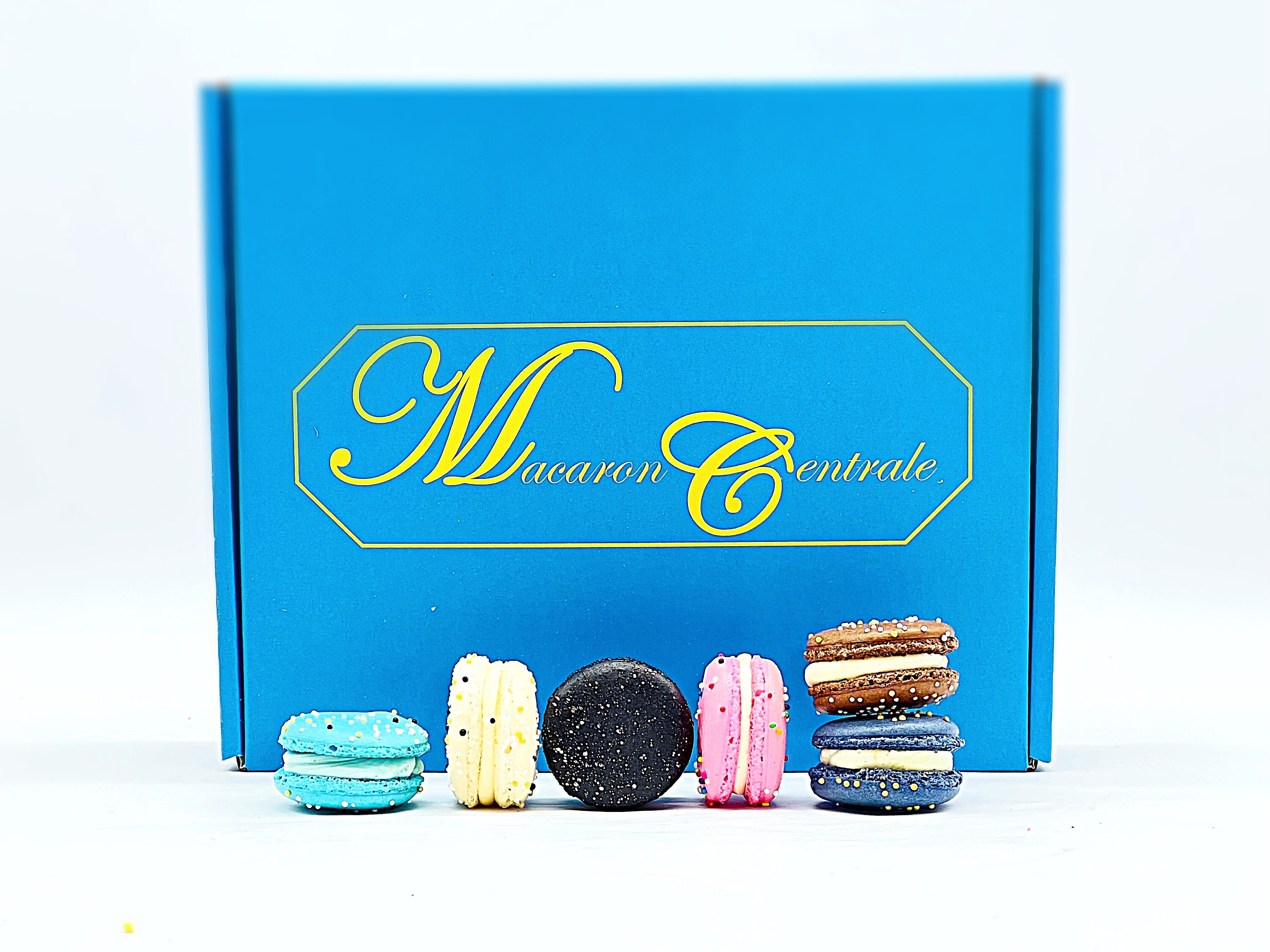 24 Pack Assorted Macaron the Graduation Set Great for Any - Etsy