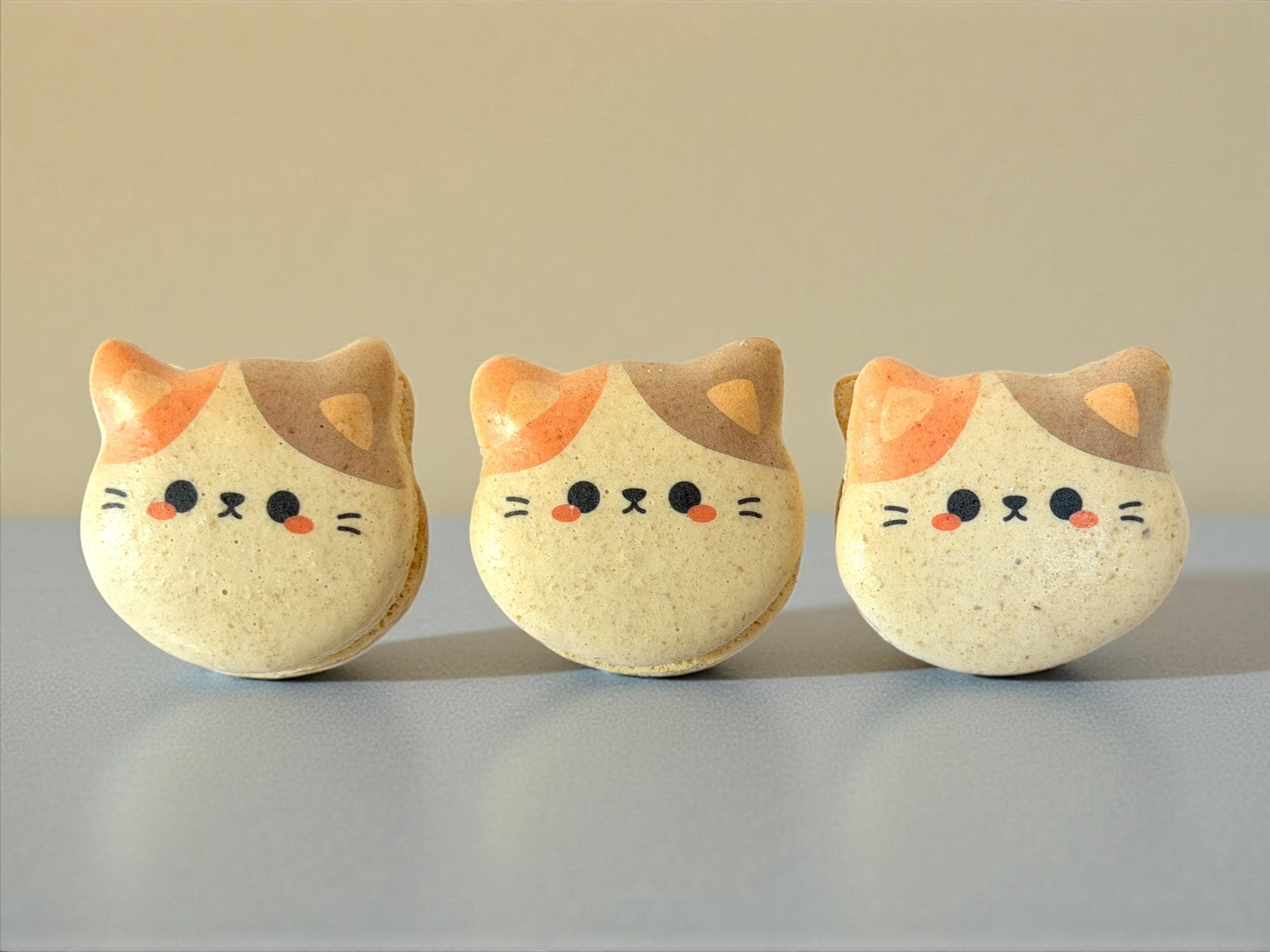Purrfect Friends | Cat-shaped French Macarons - Etsy
