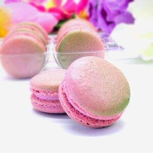 Tropical Macaron Set | Free Shipping. - Etsy