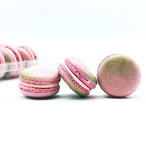 50 Pack Guava French Macaron Value Pack - Etsy
