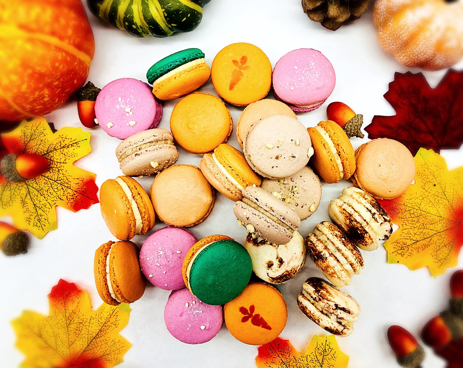 Choose Your Own 6 Macaron Value Pack - Etsy