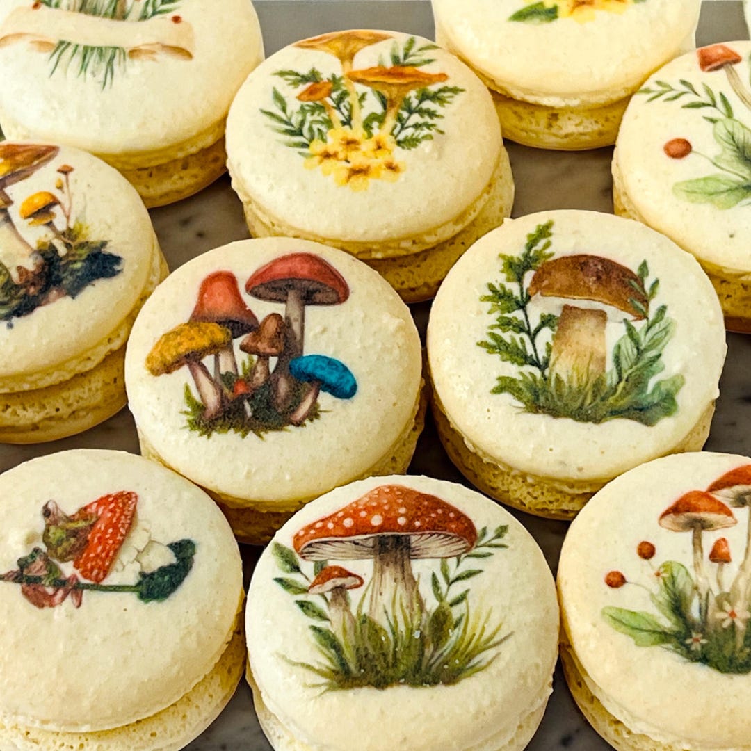 Wild Mushroom Macaron Gift Box - Etsy