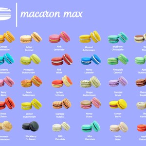 Assorted French Macarons: Vanilla, White Chocolate, Rainbow - 48 or 96 ...