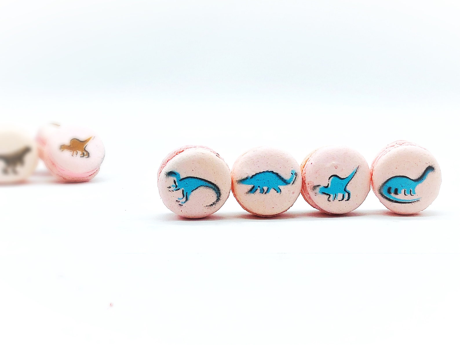 Dinosaur French Macaron Set: Jurassic Party Favors (12 Pack) - Etsy