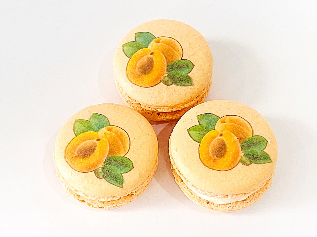 6 Pack Apricot Macarons - Etsy