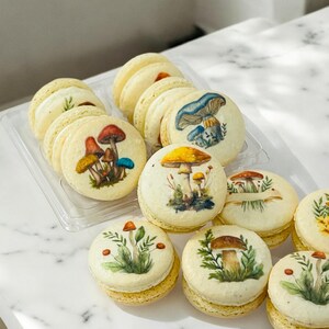 Wild Mushroom Macaron Gift Box - Etsy