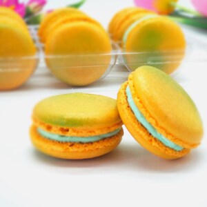 Tropical Macaron Set | Free Shipping. - Etsy