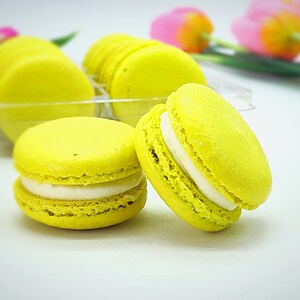 Tropical Macaron Set | Free Shipping. - Etsy