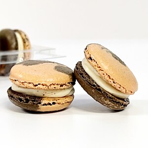 6 Pack Rum and Raisin French Macarons - Etsy