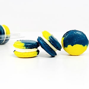 6 Pack Mango Passion Fruit and Coconut French Macaron - Etsy