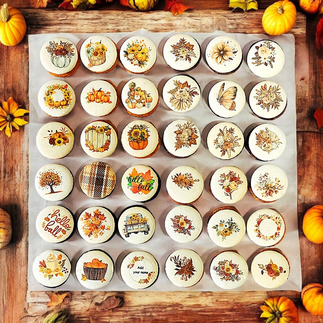 Harvest Dream Vibe - 36 Pack Macaron Collection - Etsy