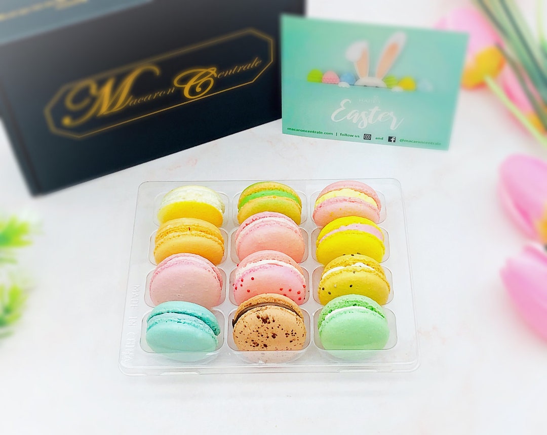 French Macaron Pastel Color Set | 12 Pack, 12 Different Pastel Shade of ...