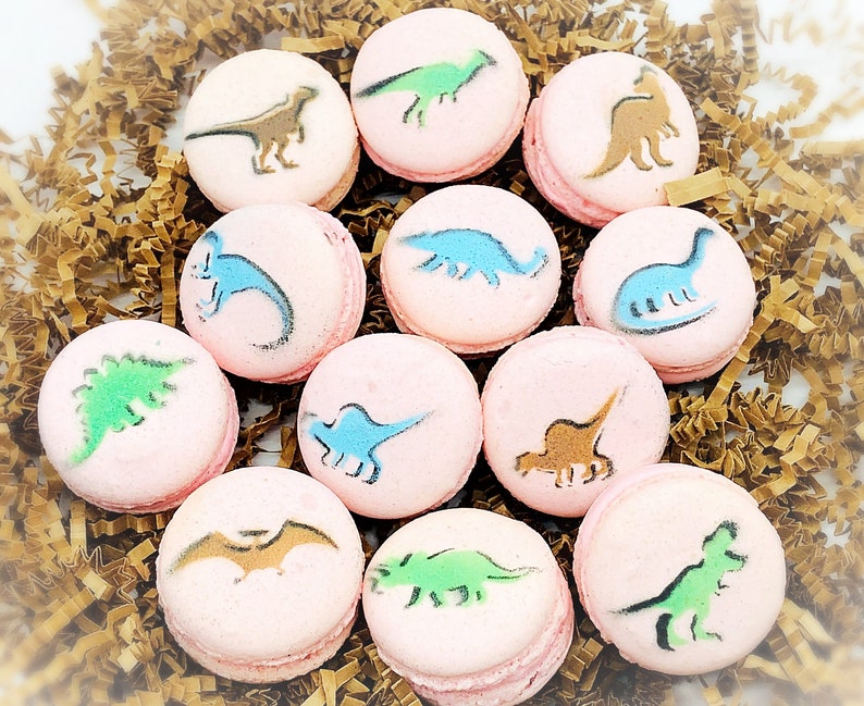 Dinosaur French Macaron Set 12 Pack Great Addition to Your - Etsy