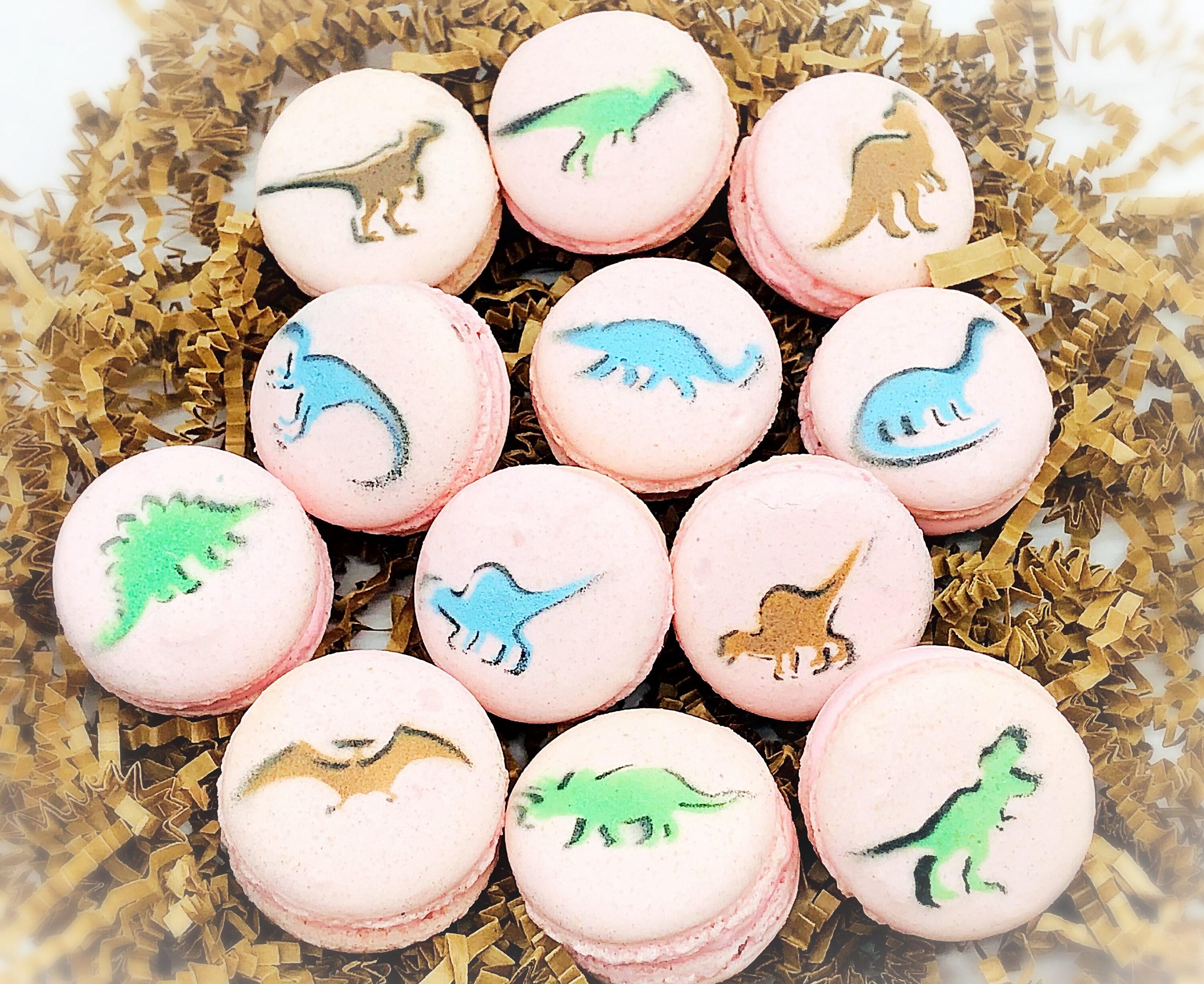 Dinosaur French Macaron Set: Jurassic Party Favors (12 Pack) - Etsy
