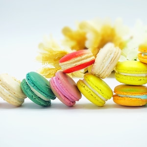 Tropical Macaron Set | Free Shipping. - Etsy