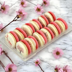Sakura Bloom Vegan French Macaron Set - Etsy