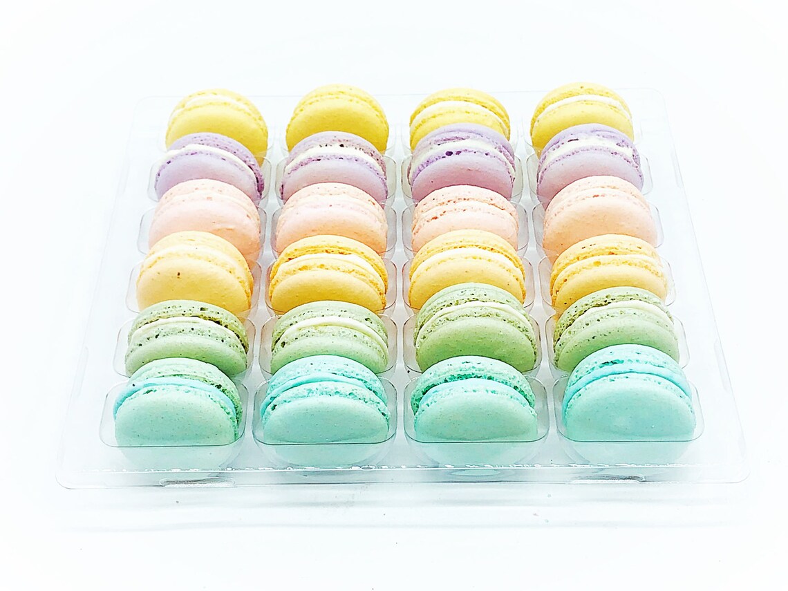 24 Pack Assorted Macaron The Pastel Set Great for any | Etsy