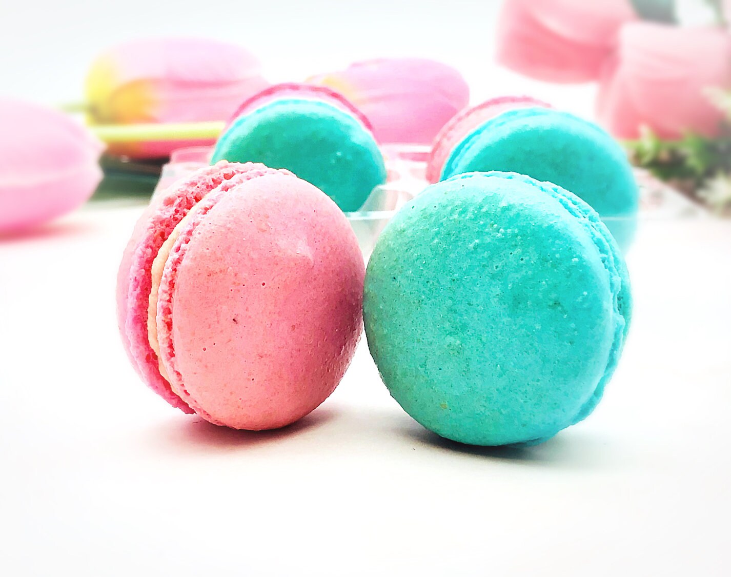 6 Raspberry & Blueberry Macarons Value Pack - Etsy